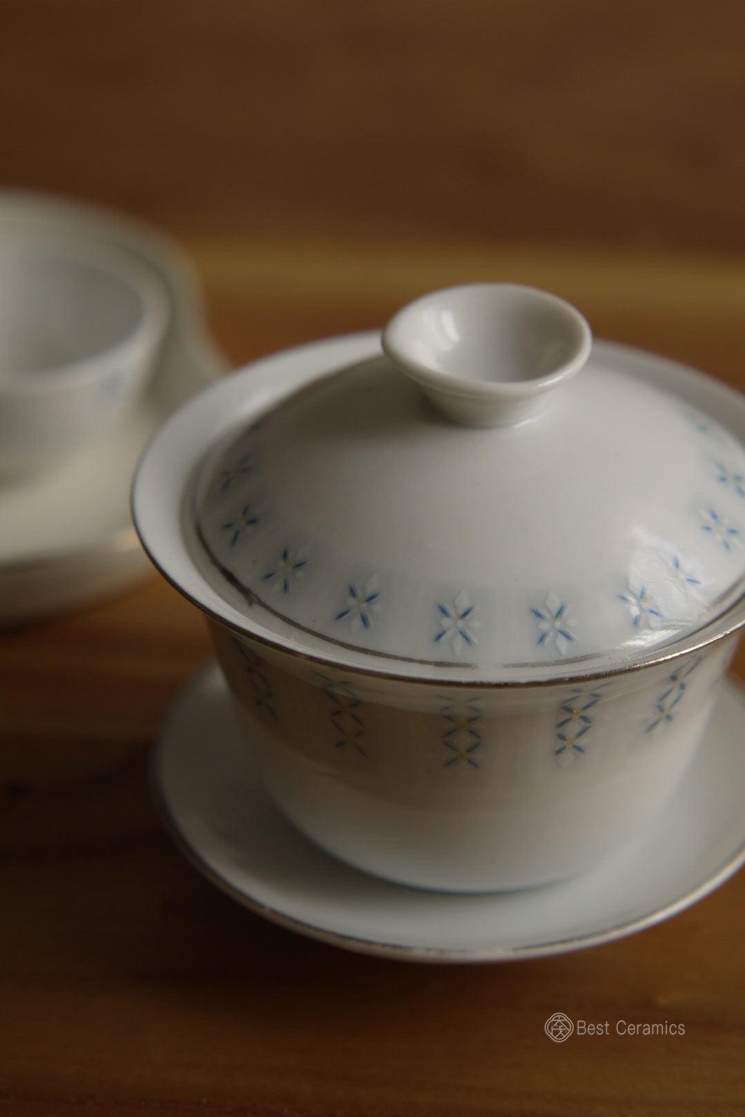 Chaozhou Style Chinese Kungfu Vintage Gaiwan Teacup Set|Best Ceramics