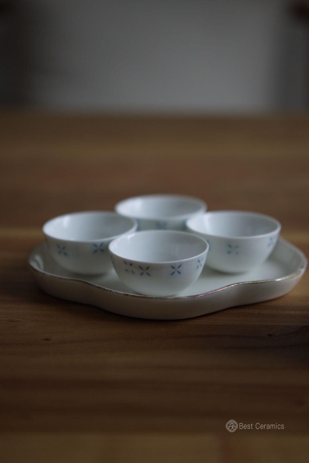 Chaozhou Style Chinese Kungfu Vintage Gaiwan Teacup Set|Best Ceramics